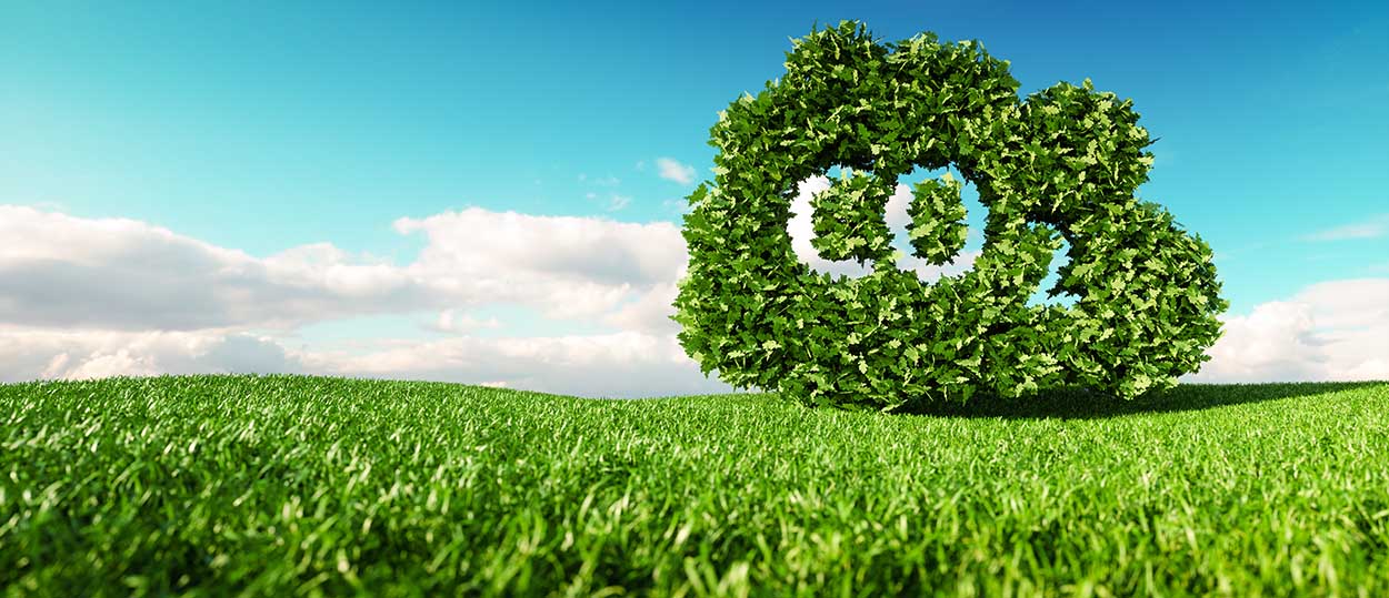 What is biopropane and how is it extracted | OK GAS